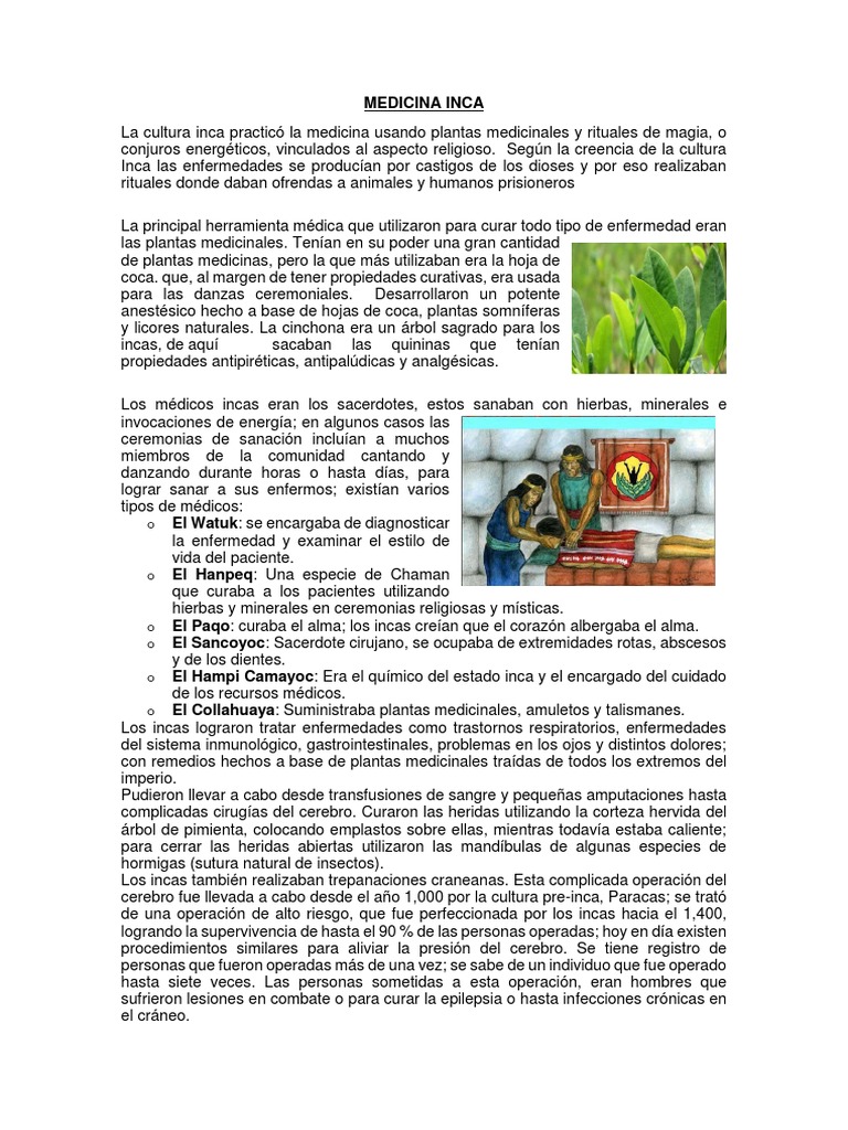 Medicina Inca | PDF | Imperio Inca | Plantas medicinales