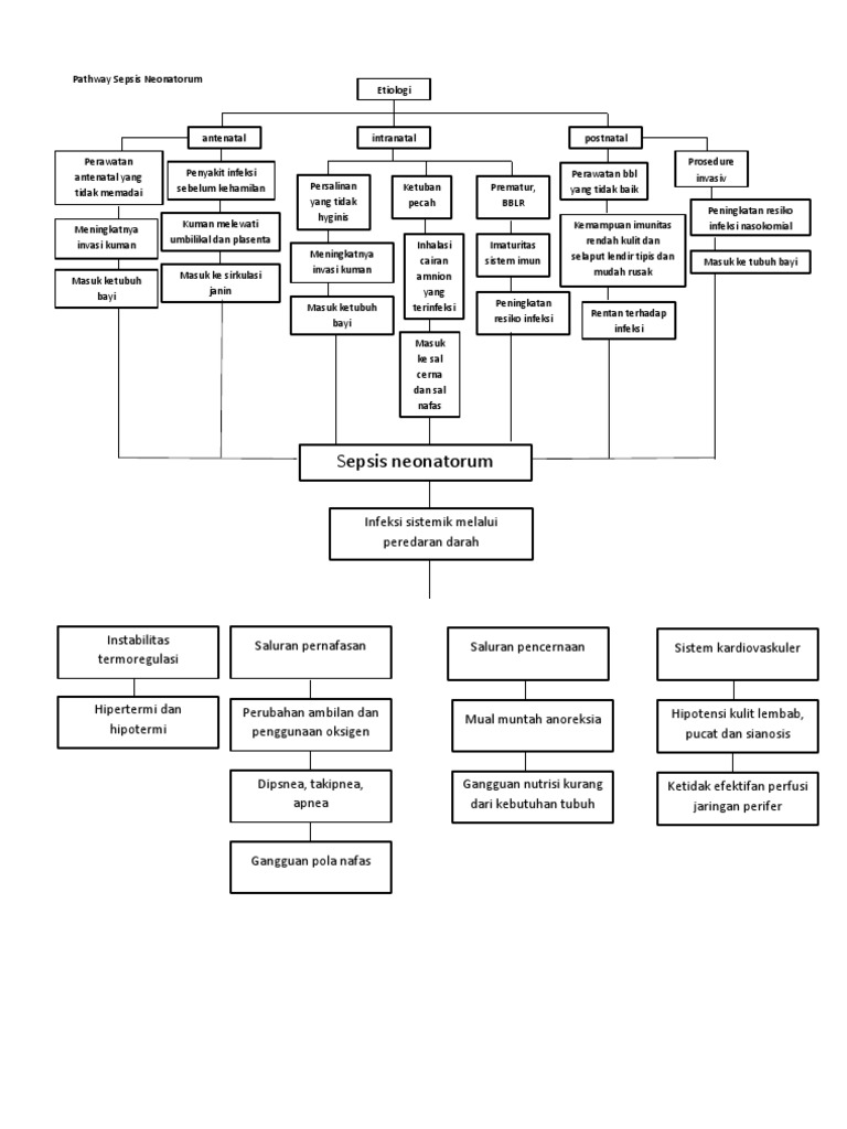 Pathway Sepsis Neonatorum | PDF