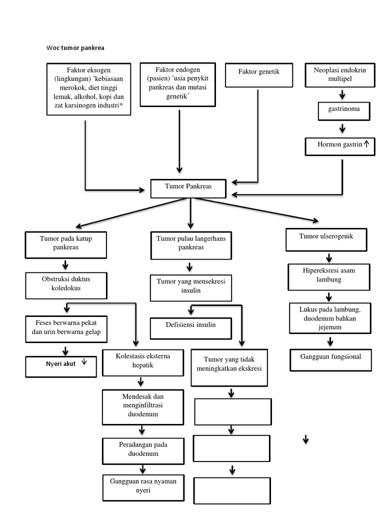 Woc Tumor Pankreas | PDF