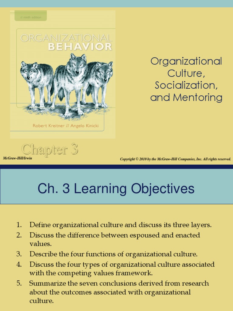 Organizational Culture, Socialization, and Mentoring: Mcgraw-Hill/Irwin ...
