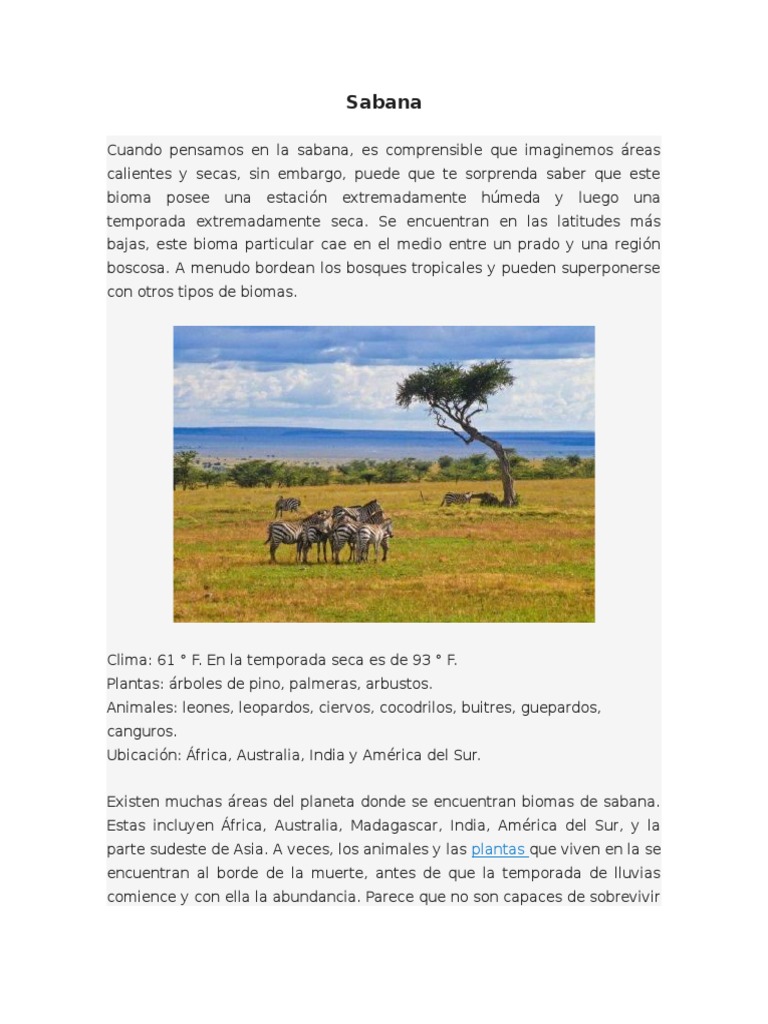 Sabana | PDF | Arboles | León