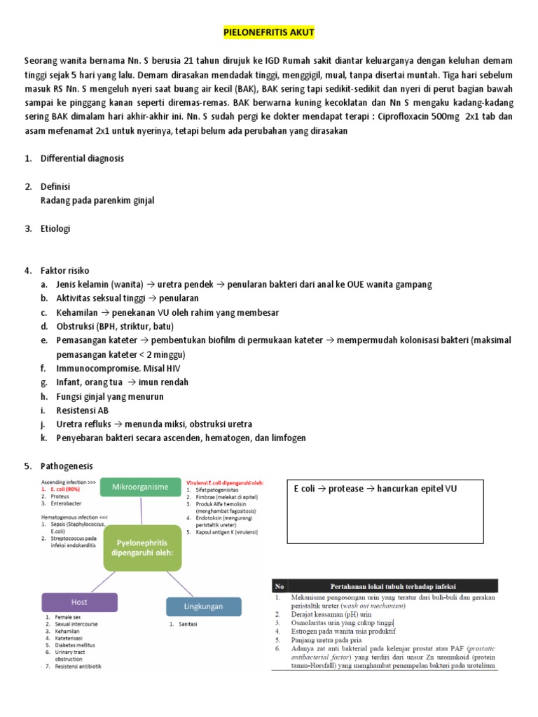 Pielonefritis Akut | PDF