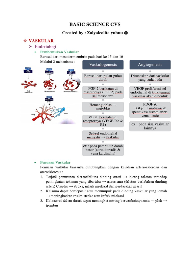 Basic Science Vaskular & Jantung Word | PDF