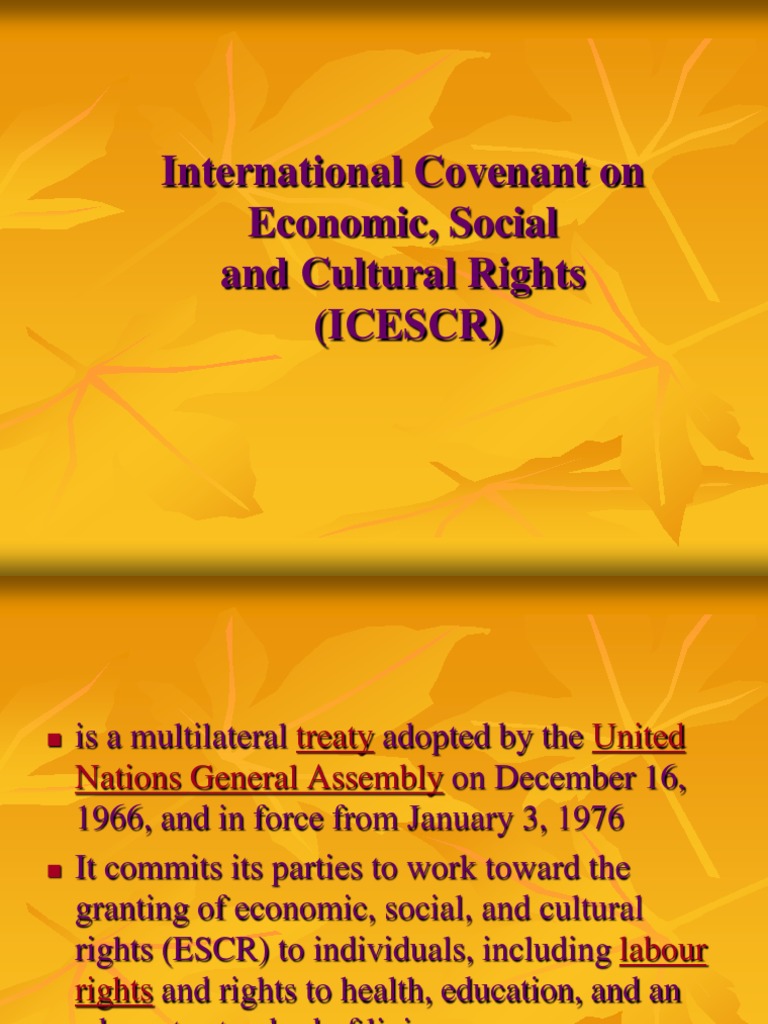 The International Covenant on Economic, Social and Cultural Rights ...