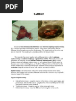 TAH-BSO: Procedure, Indications, Risks | PDF | Uterus | Human Reproduction