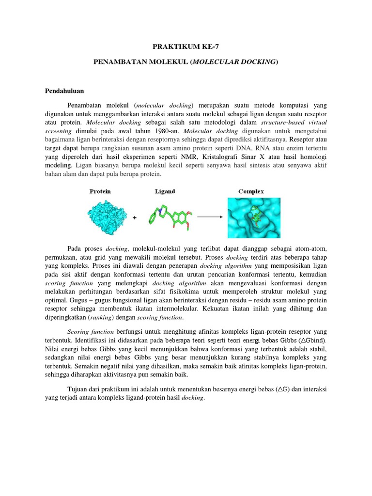 Modul 7 (Penambatan Molekul) | PDF
