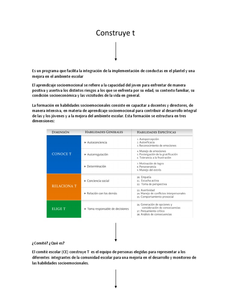 Construye T | PDF | Maestros | Aprendizaje