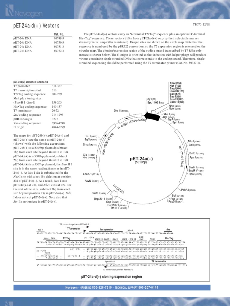 pET24adm Map | PDF | Vector (Molecular Biology) | Dna