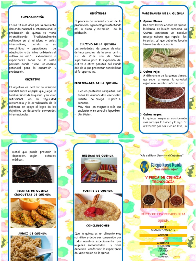 TRIPTICO QUINUA | Quinua | Cereales | Prueba gratuita de 30 días | Scribd