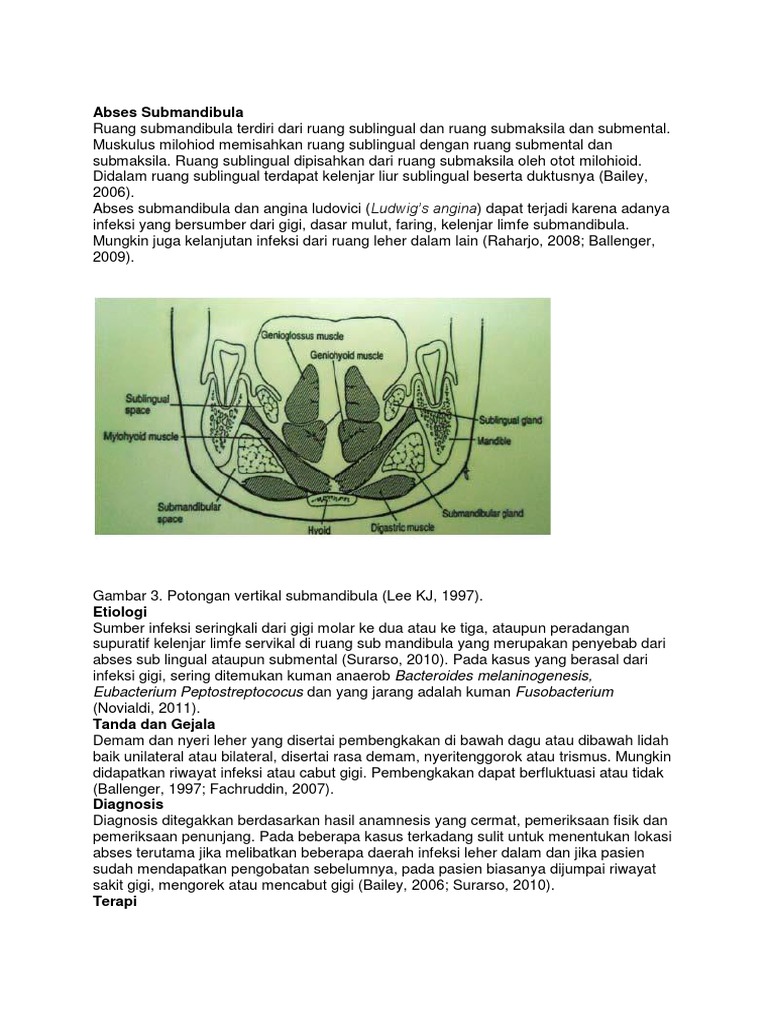 Abses Submandibula | PDF