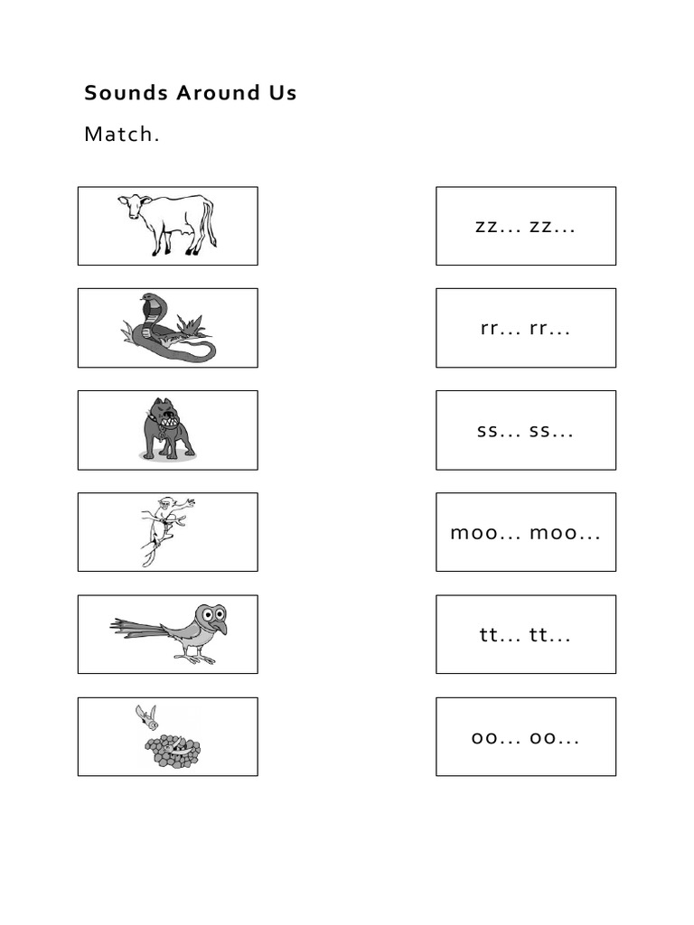 Sounds Around Us | PDF