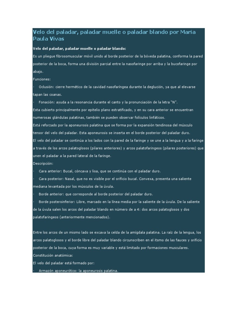 Velo Del Paladar | PDF | Sistema musculoesquelético | Anatomia animal