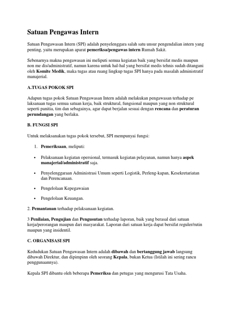 Satuan Pengawas Intern | PDF