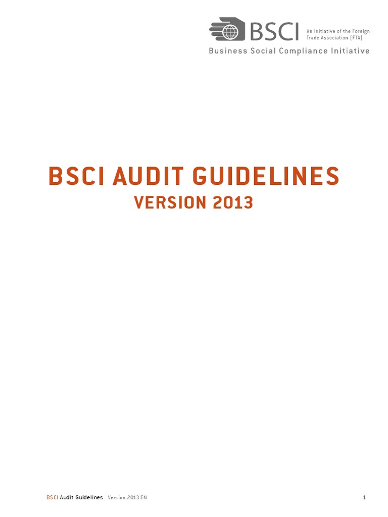 BSCI Audit Findings & Recommendations | PDF | Auditor's Report ...