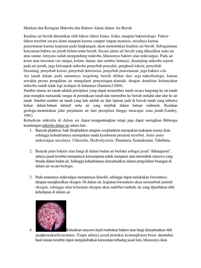 Mikroba Air dan Udara | PDF