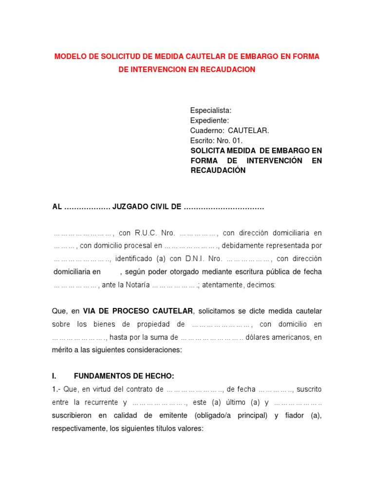 80.modelo de Solicitud de Medida Cautelar de Embargo en Forma de ...