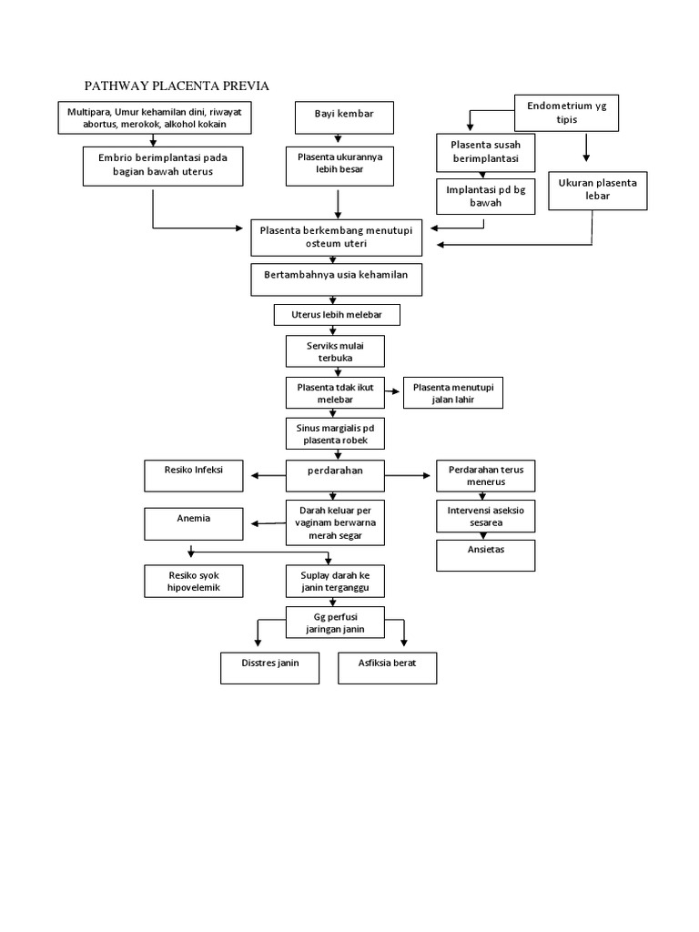 Pathway Placenta Previa | PDF
