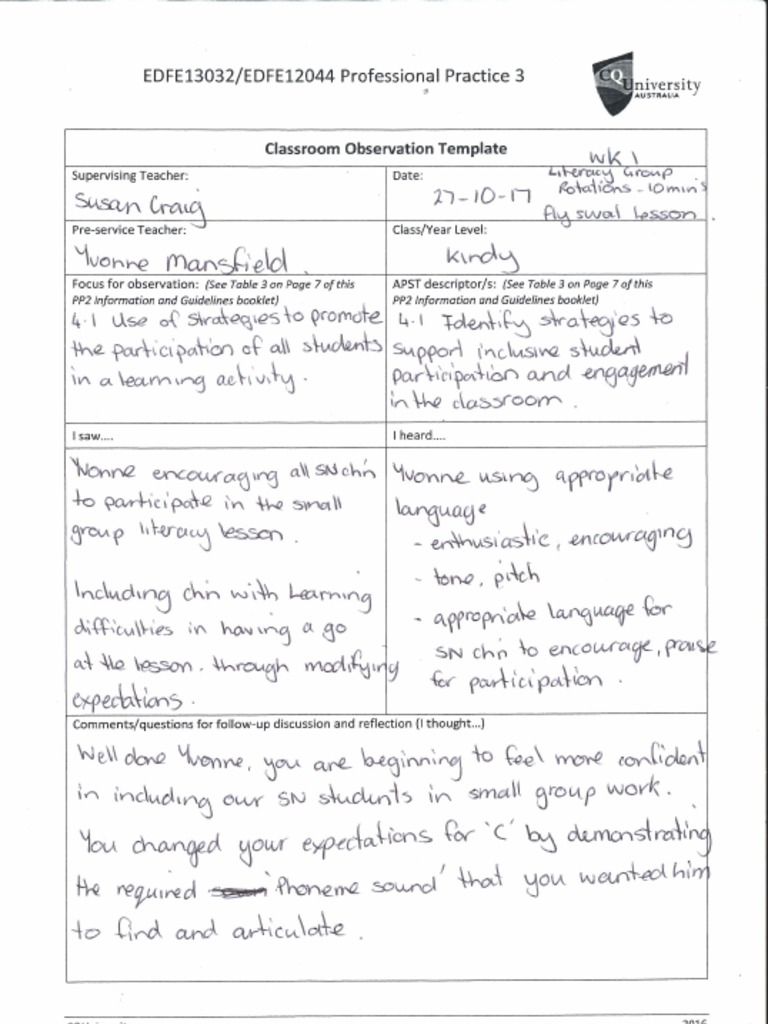 Fly Swat Lesson Observation | PDF