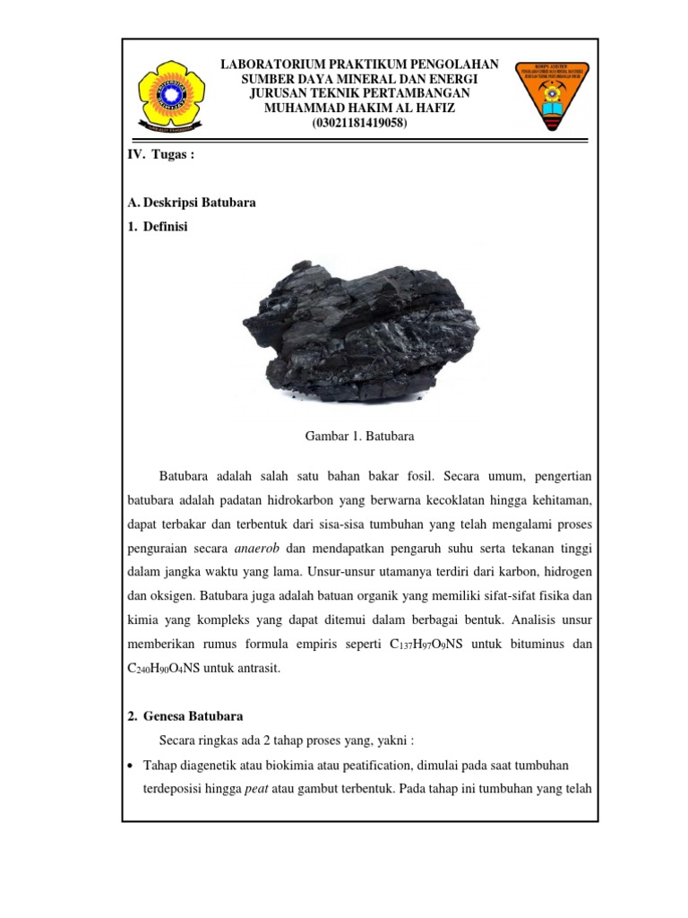 Tugas Bab VII - Pengolahan Energi Batubara | PDF