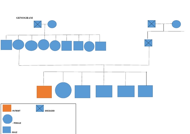 Genogram: - Patient - Deceased | PDF