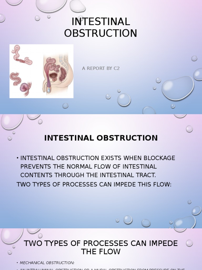 Intestinal Obstruction: A Report by C2 | PDF | Gastrointestinal Tract ...