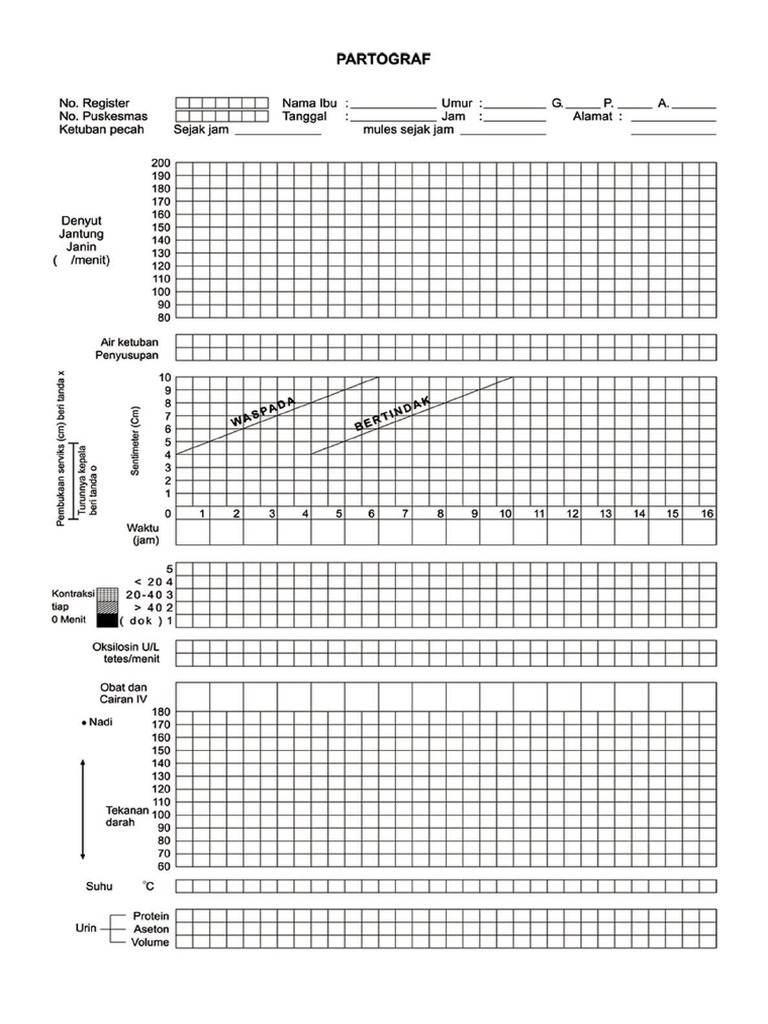 Form Partograf | PDF