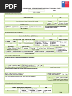 DIAT Word Formato | PDF