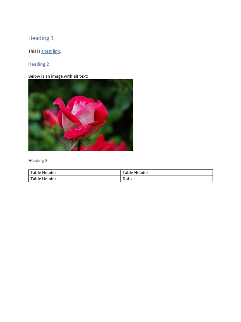 Test Link and Image with Alt Text | PDF