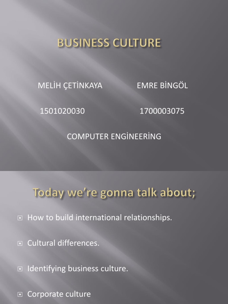 Building International Relationships | PDF
