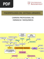 Flora Residente, Flora Transitoria, Transmisión Cruzada y Fómites | PDF ...