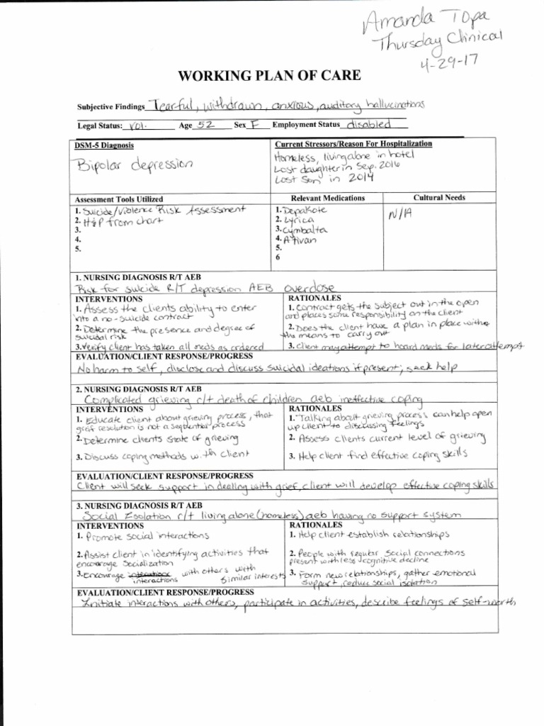 Plan of Care | PDF