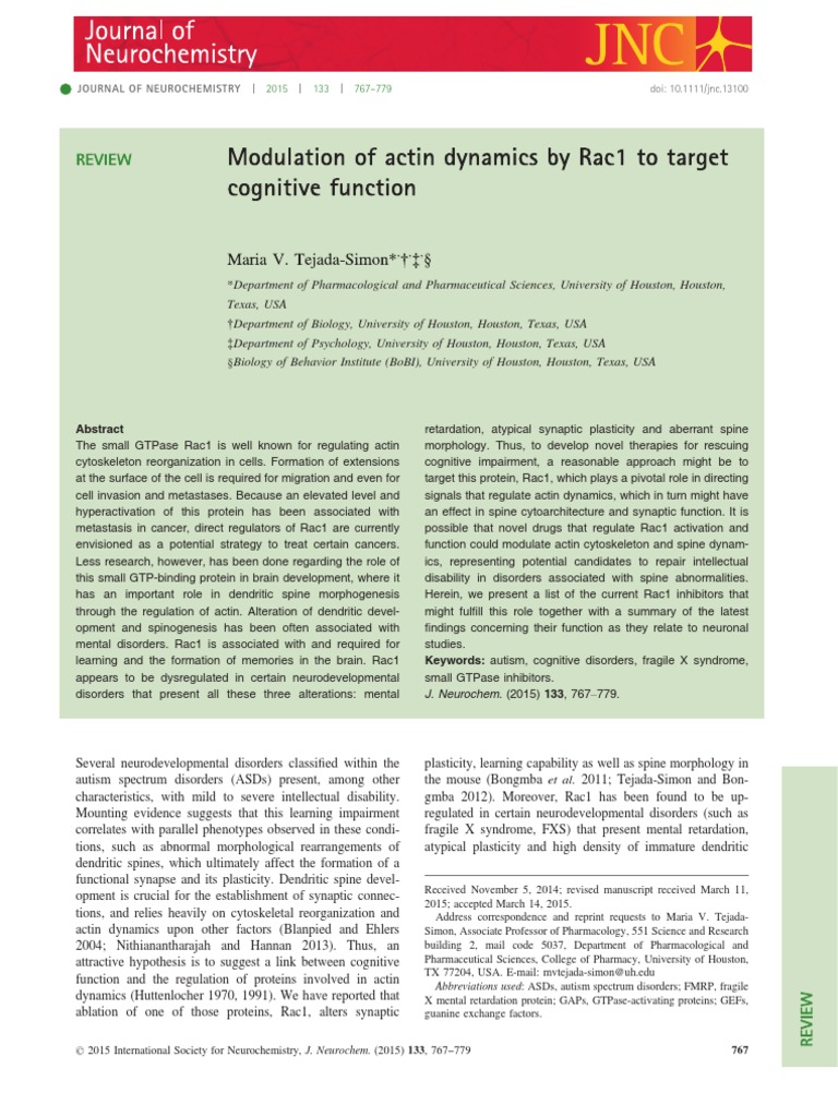Tejada Simon - Modulation of Actin Dynamics by Rac1 To Target Cognitive Function | PDF ...