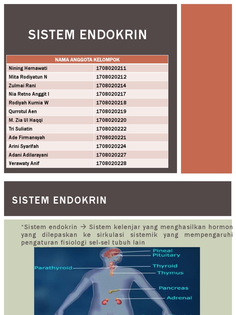 Ppt Endokrin 