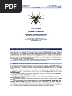 Ciclo de vida y reproducción de arañas | PDF | Araña | Huevo