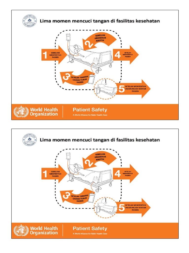 5 Moment Hand Hygiene | PDF