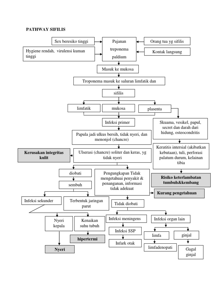 Pathway Sifilis | PDF