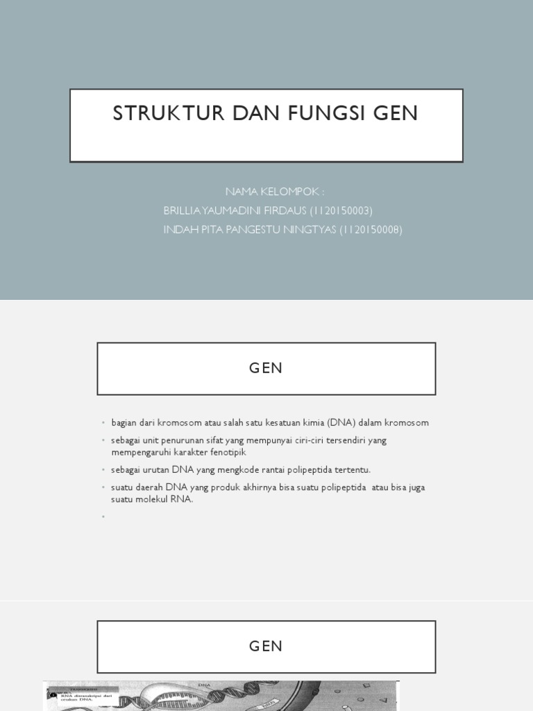 Struktur Dan Fungsi Gen | PDF Struktur Dan Fungsi Gen | PDF