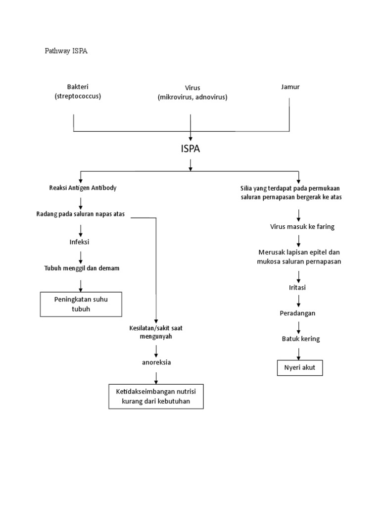 Dokumen - Tips - Pathway Ispa Ok 569ed6a1b03fc | PDF