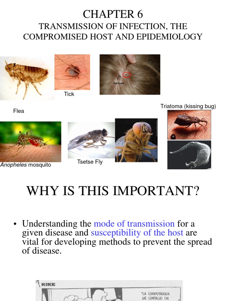 Mode of Transmission | Transmission (Medicine) | Hospital Acquired ...