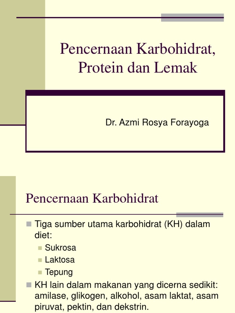 Pencernaan Karbohidrat, Protein Dan Lemak | PDF