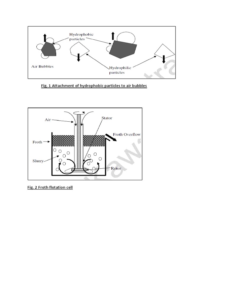 Froth+flotation+notes | Ph | Chemistry