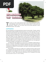 Method of Layout Orchard | PDF | Plants | Trees