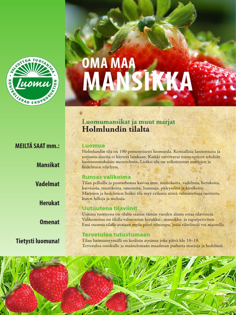 Mansikka Esite | PDF