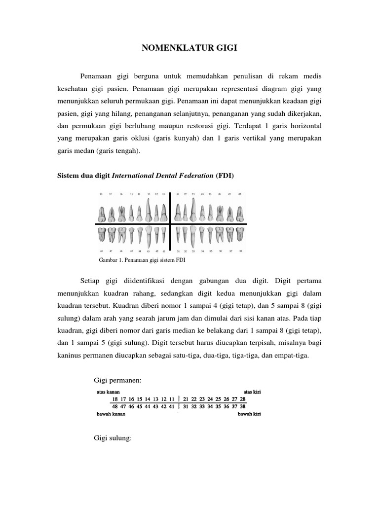 NOMENKLATUR DAN PENULISAN GIGI DALAM REKAM MEDIS | PDF