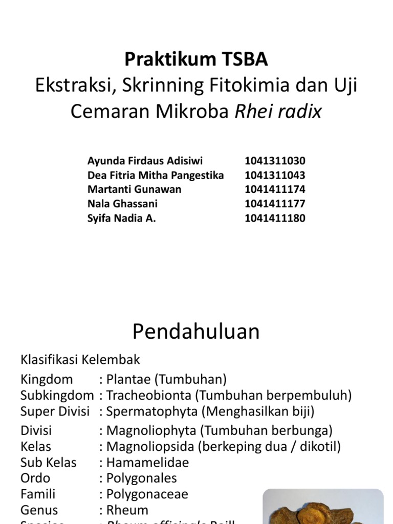 Akar Kelembak 2016 | PDF