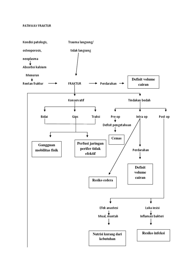Pathway Fraktur | PDF