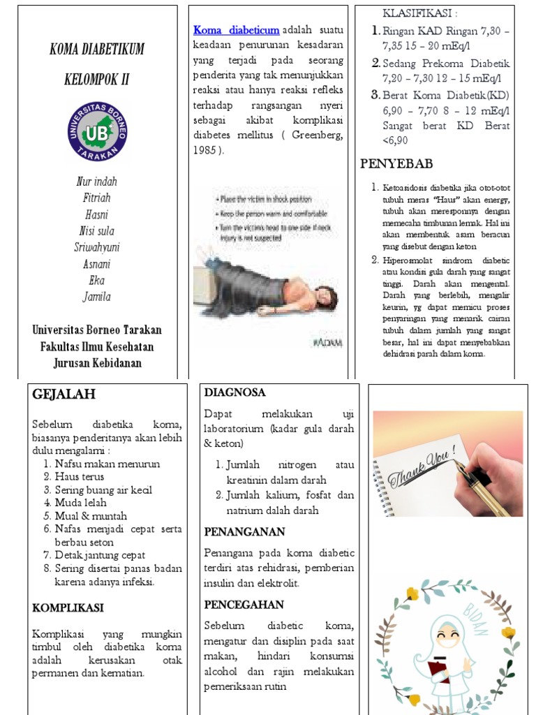 Leaflet 1 | PDF