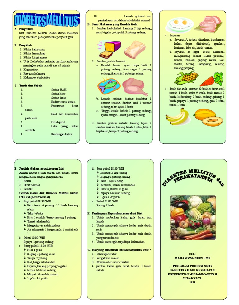 Leaflet Diet DM | PDF