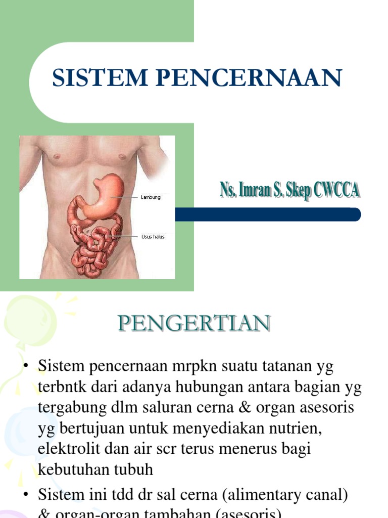 Anfis Sistem Pencernaan - Perumperindo.co.id