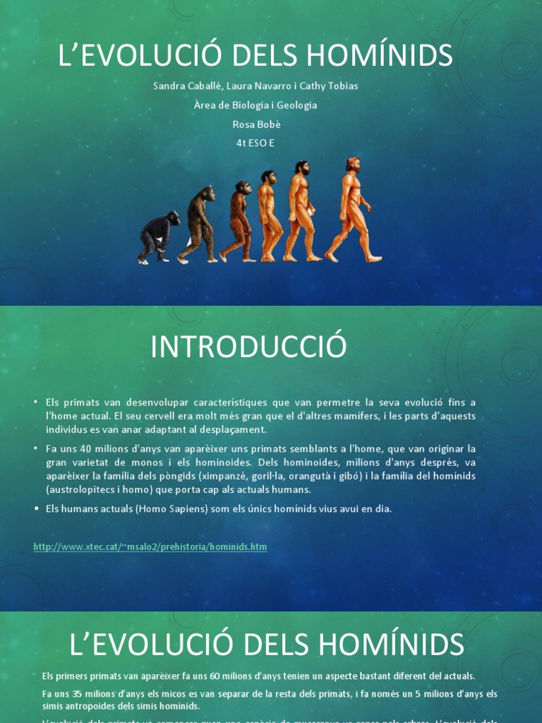 L'Evolució Dels Homínids | PDF